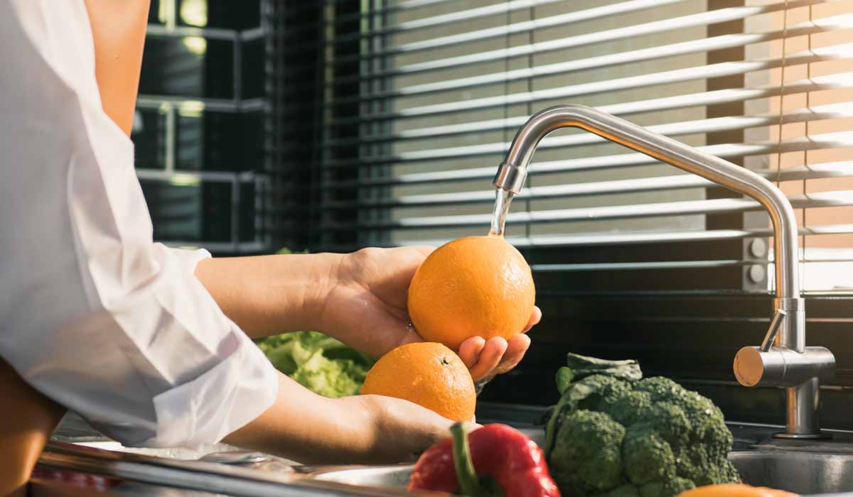 Bacterias Que Causan Intoxicación Alimentaria